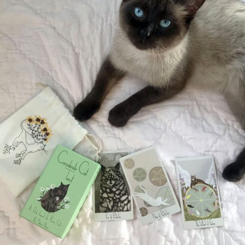 Considerate Cat Tarot – A whimsical cat themed tarot deck inspired by ...