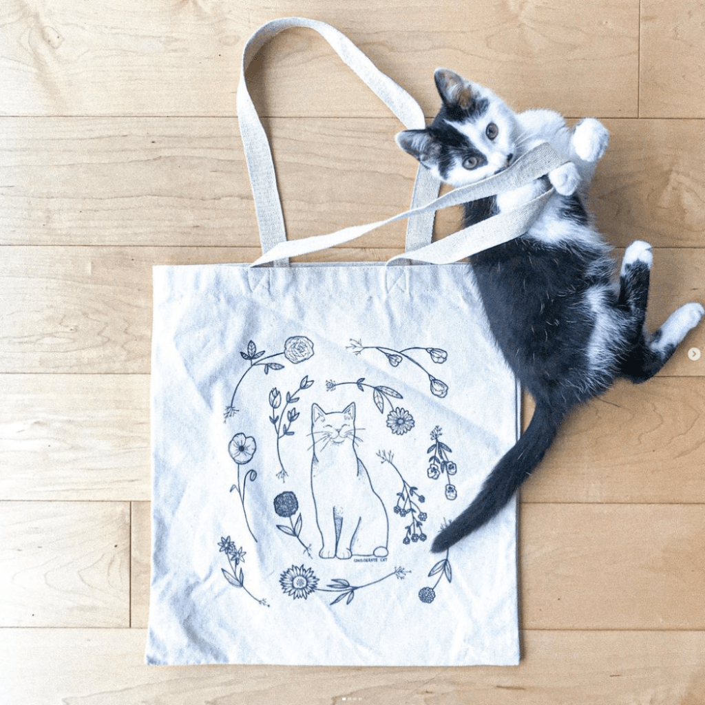 Wholesale – Considerate Cat Tarot